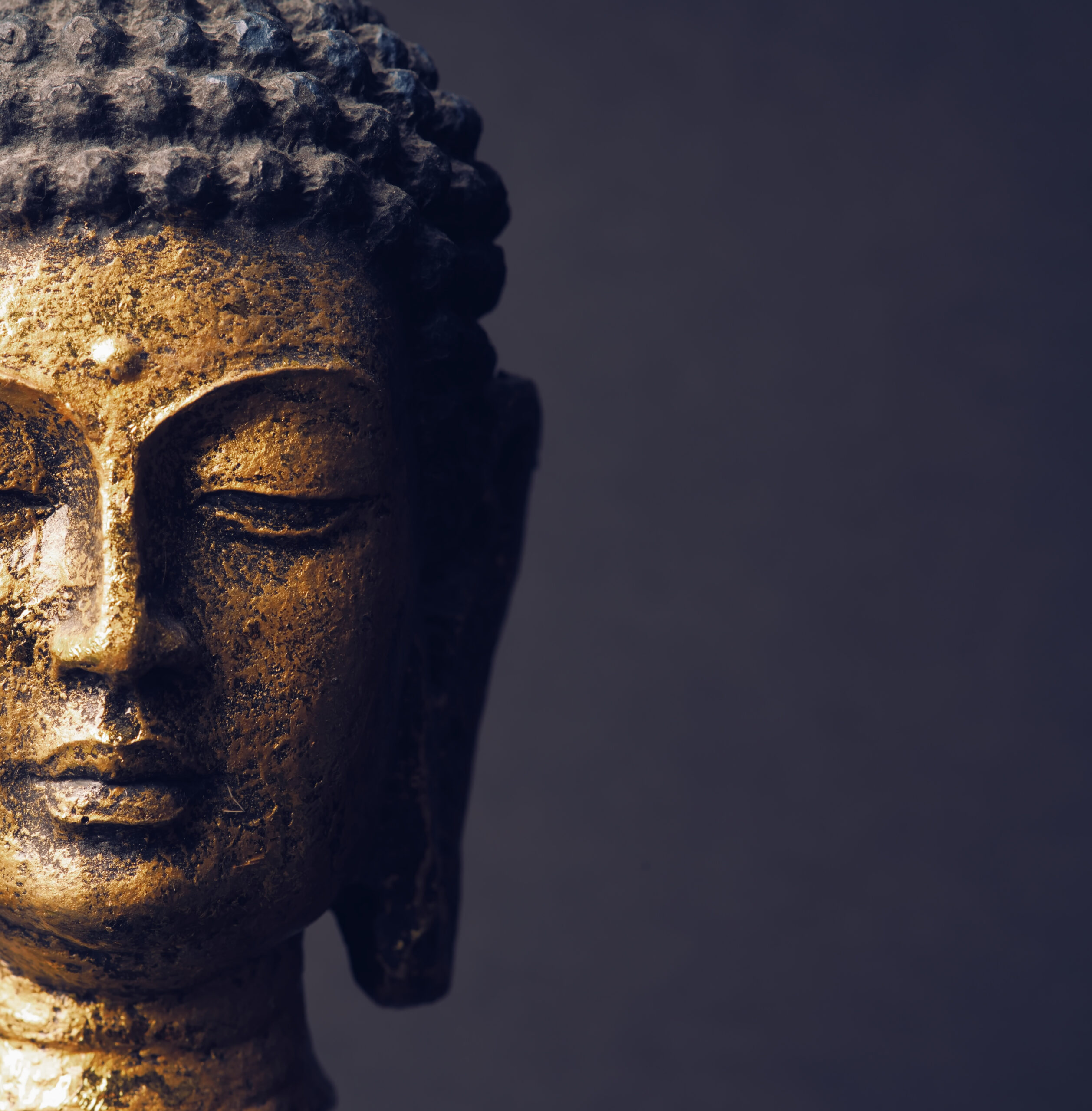 Program | Bethlehem Centre