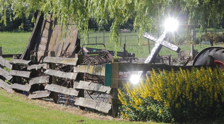 Program | Bethlehem Centre